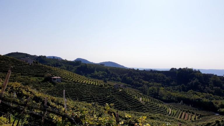 Giro cicloturistico sulla Strada del Prosecco - MyOutdoor